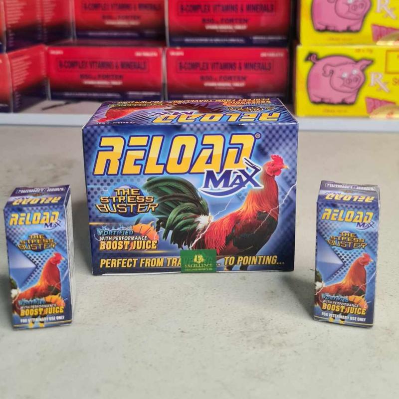 RELOAD MAX 15ml/5ml - D-Ribose + Electrolytes Provide sufficient ...