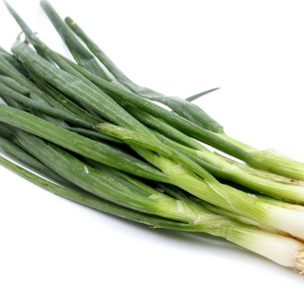 Spring Green Onion Dahong Sibuyas Vegetable Seeds ( 1500 seeds - TikTok ...