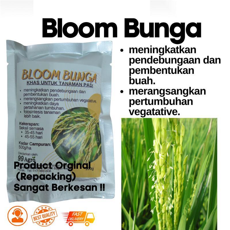 Steel plant rice bloom flower to increase flowering rice fertilizer ...