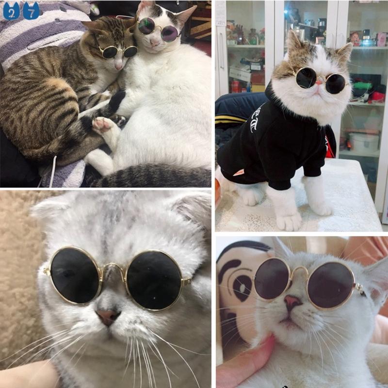 1PC Lovely Pet Cat Glasses Dog Glasses Pet Products Kitty To - TikTok ...