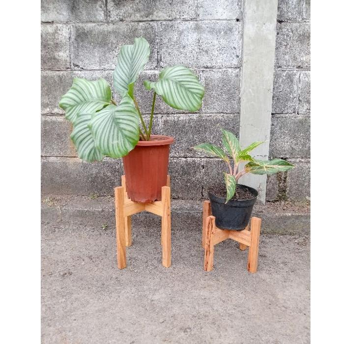 Jual rak pot kayu / standing pot kayu full finishing - T30xL20, natural ...