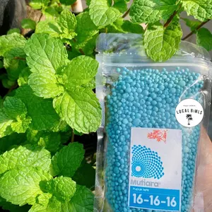 Curacron 100ml (pembasmi hama tanaman kutu putih cabai & serangga ...