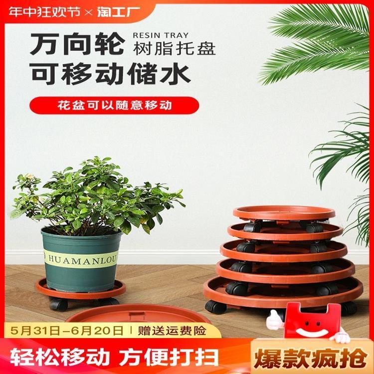 Wheeled mobile flowerpot// Movable Flower Pot Tray With Whee - TikTok ...
