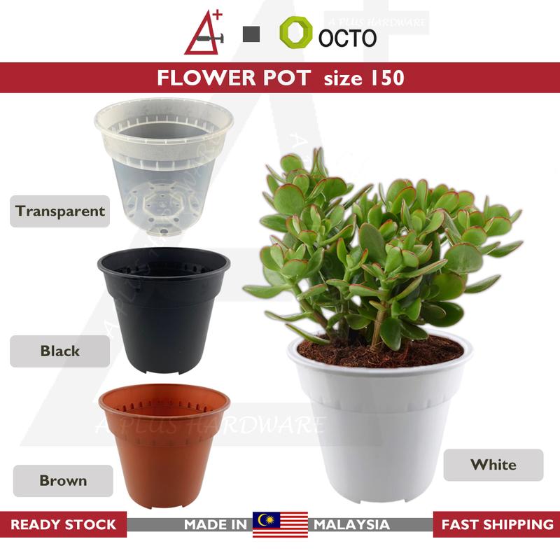 OCTO Flower Pot size 150 (Diameter 14.3cm) Gardening Durable - TikTok ...