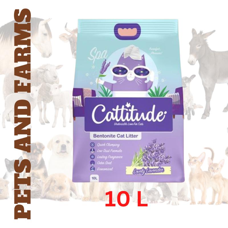 CATTITUDE PREMIUM CAT LITTER BENTONITE CAT LITTER 10 LITERS - TikTok ...