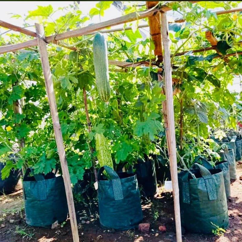 Planter Bag Eco Pack 50 Liter Grow Bag Ecopack Kualitas Premium - Shop ...