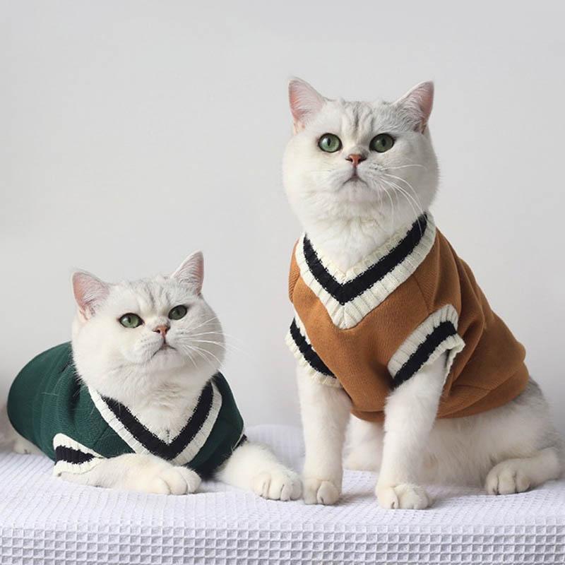 Sweater Kucing, Gaya Preppy, Hangat Musim Sejuk, Sesuai untu - TikTok ...