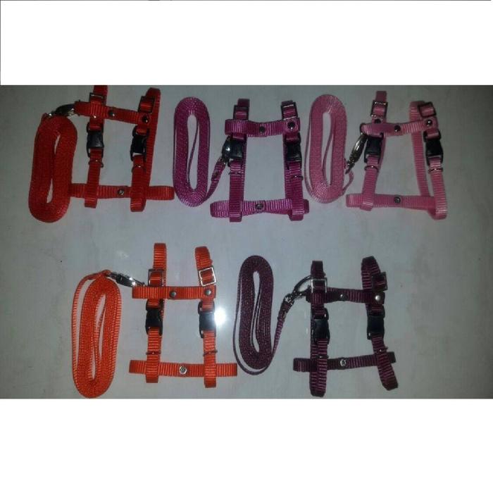 Jual Grosir 24 pcs Harness H dan Tali Tuntun untuk Kucing, Kelinci ...