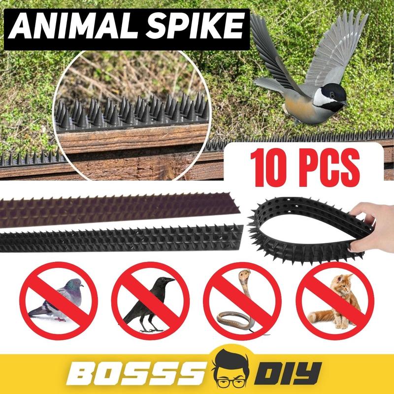 10pcs Plastic Bird Spike Wall Fence Spikes Anti Climb Spikes - TikTok ...
