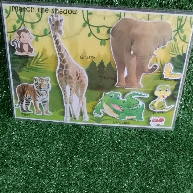 Wild Animal Silent Activity Chart - TikTok Shop Philippines