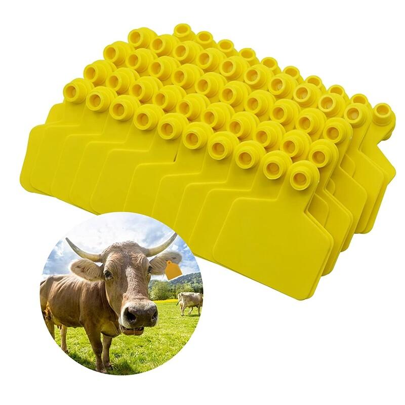 Tag Telinga Ternakan, Kosong, untuk Kambing, Biri-biri, Babi - TikTok ...