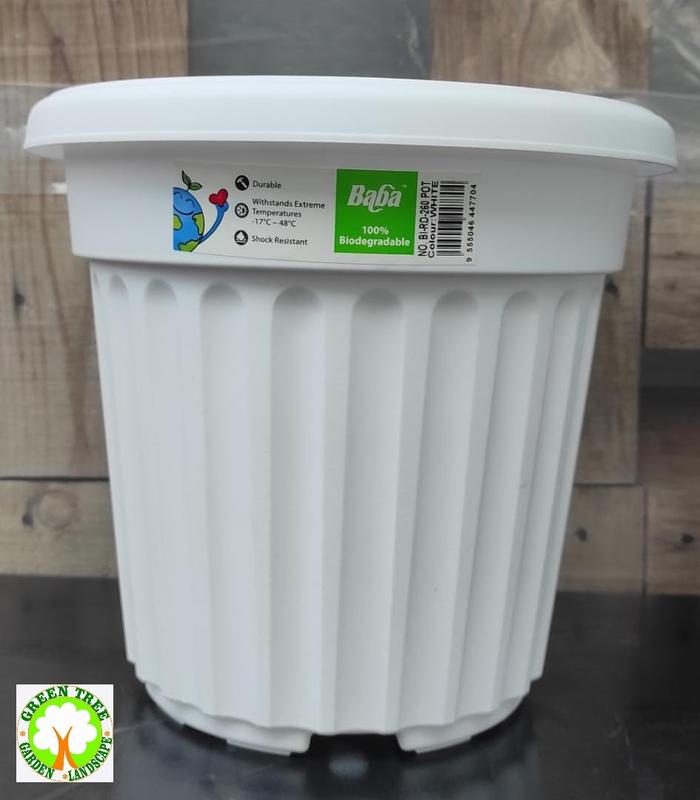 (26cm) Baba BI-RD-260 Biodegradable Flower Pot ( Pasu Bunga ) - TikTok ...