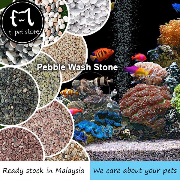 1kg Pebble Wash Stone 5mm 10mm River Stone / Batu Sungai Hiasan ...
