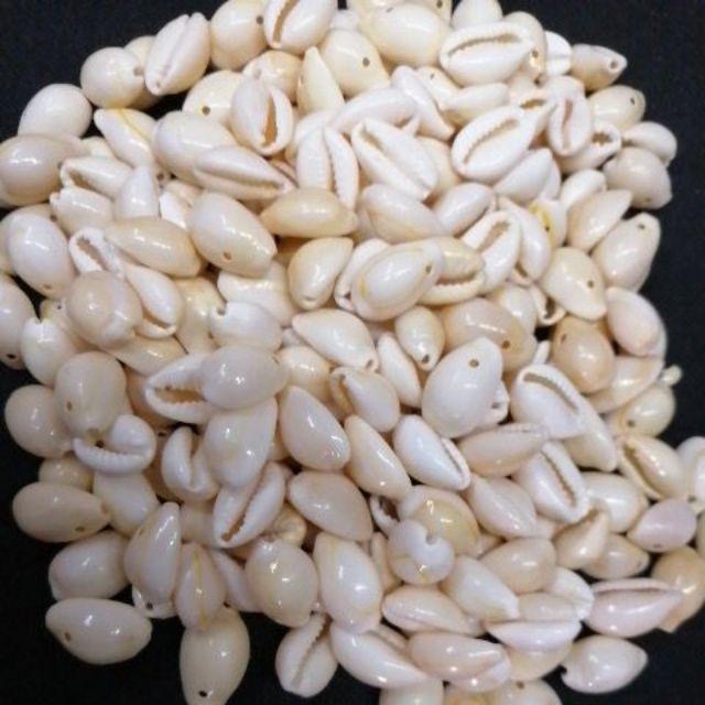 1 hole Seashell Size S / Burie Kuyung 1 lubang - TikTok Shop Malaysia