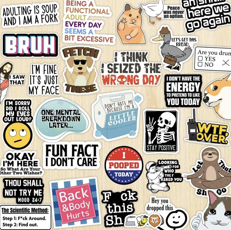 130 PCS Funny Saying Sticker Pack - Snarky, Sarcastic Bold Humor ...