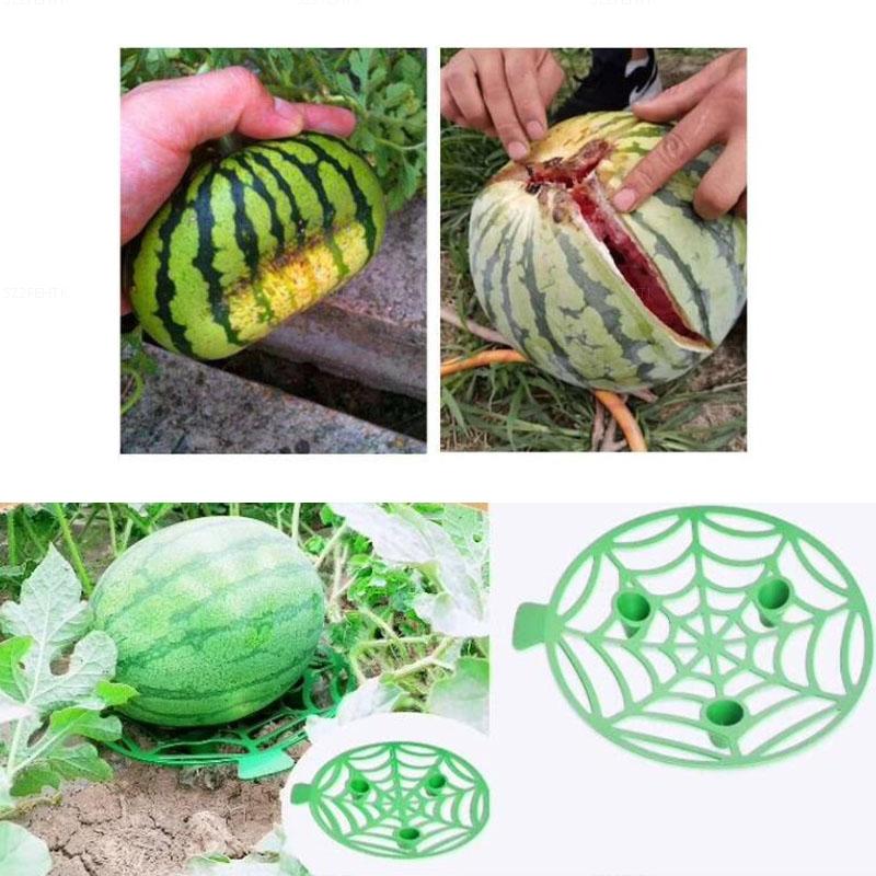 15pcs/lot Watermelon Fruit Stand Support basket Frame Holder - TikTok ...