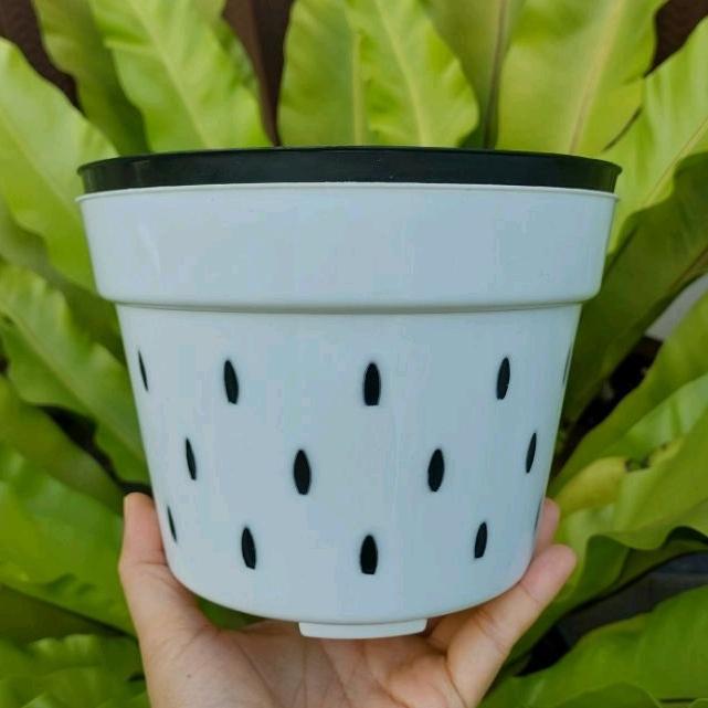 Jual POT POROS BASIC 20 BANYAK LUBANG : pot bunga banyak pori pot ...
