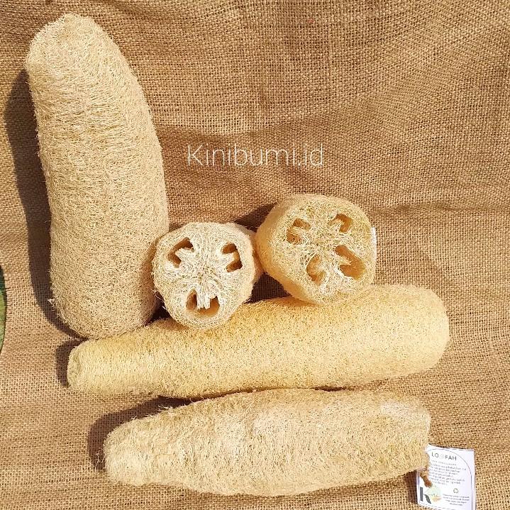 Loofah Gambas Emes Blustru Kering Spons Mandi Sponge Cuci Piring - Shop | Tokopedia