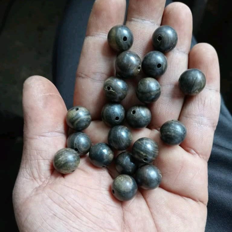 biji kemuning hitam( perbiji) - TikTok Shop Malaysia