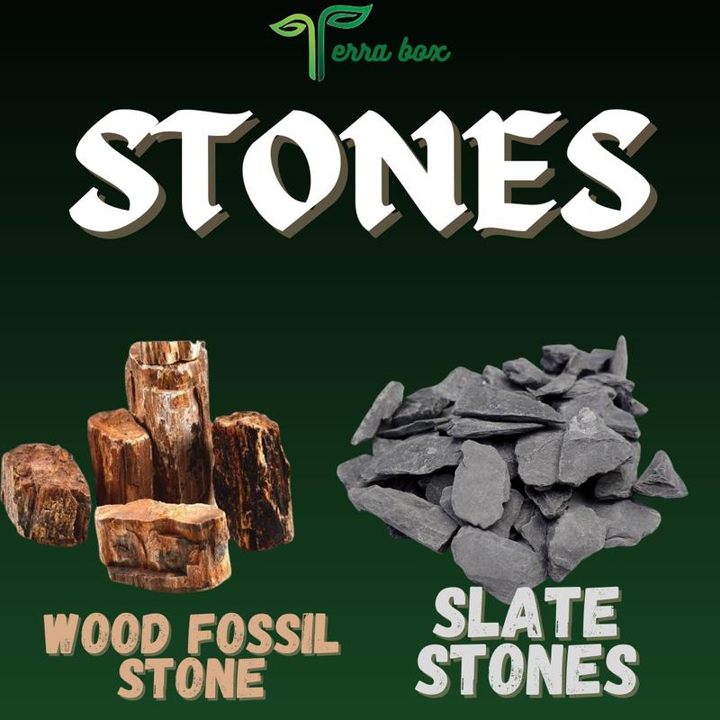 Slate and Wood Stone for Terrarium and Aquarium Aquascape - TikTok Shop ...