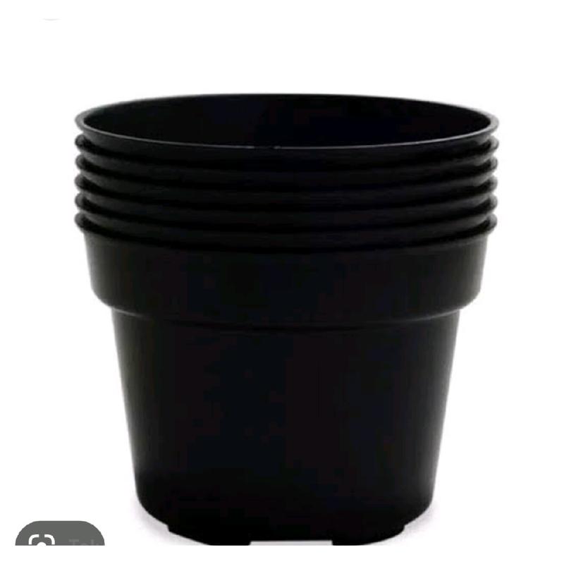 pot 10cm link order live - Shop | Tokopedia