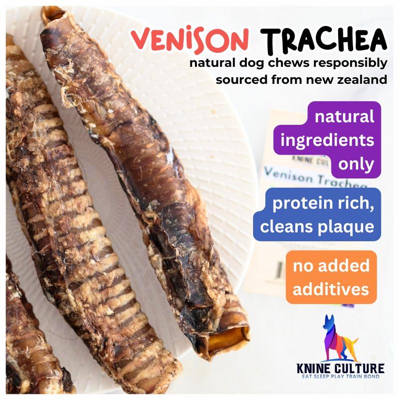 Venison Trachea [3pc] - natural dog treat, dental chew, hypoallergenic ...