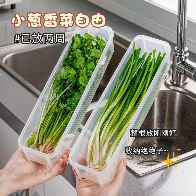 Coriander Box Green Onion Storage Box Refrigerator Whole Roo - TikTok ...