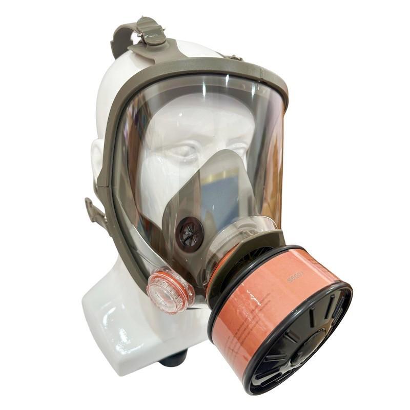 Reusable Full Face Mask with Filter Can Set (1 Count), Anti-fog ...