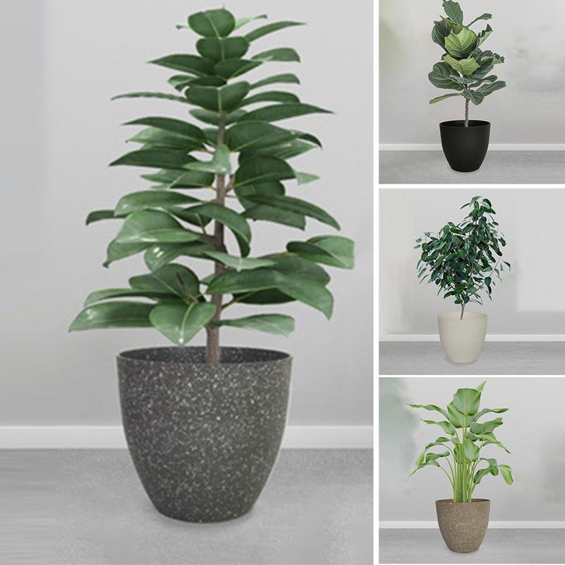 Pasu Sukulen, Pasu Bunga, Untuk Taman, Jualan Panas - TikTok Shop Malaysia