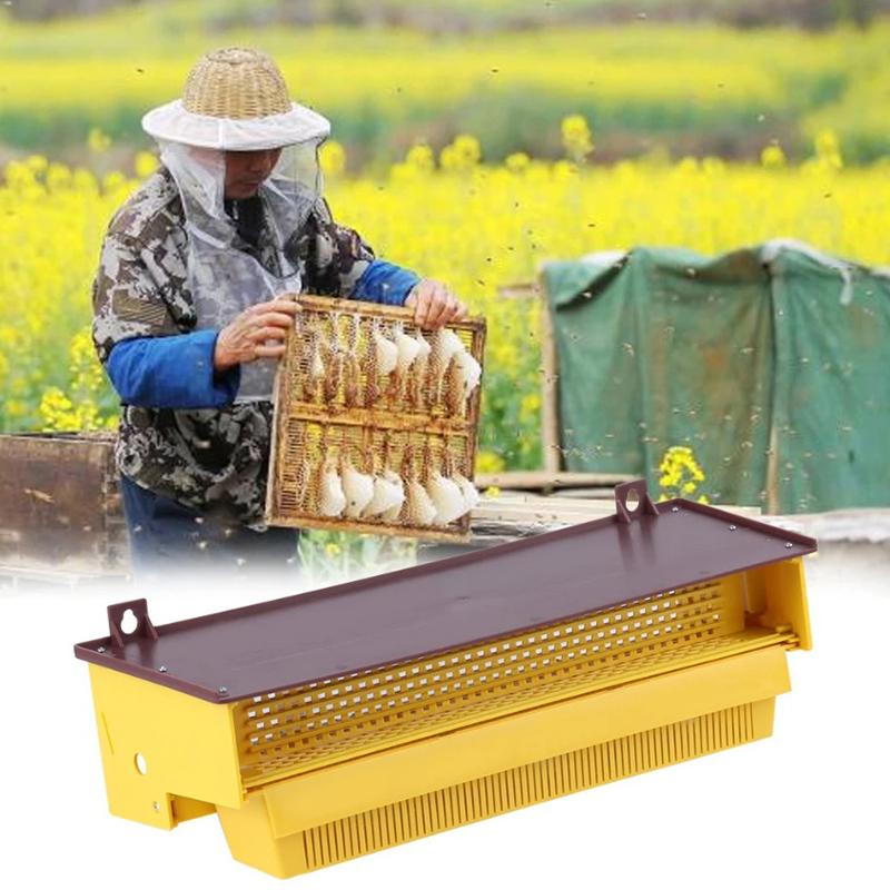 [BNC]Pollen Collector Collection Box Suitable For Bee Breeding - TikTok ...