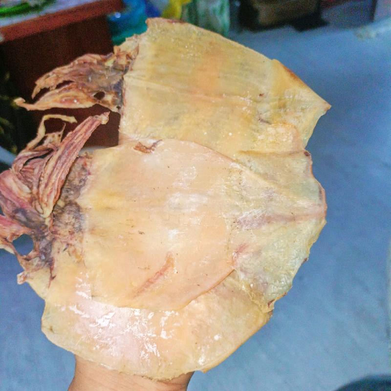 SQUID PUSIT LAPAD Dry packed Foods (Vaccumed) - TikTok Shop Philippines