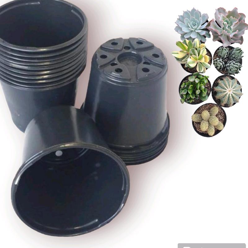 pot hitam mix ukuran 10 cm - Shop | Tokopedia