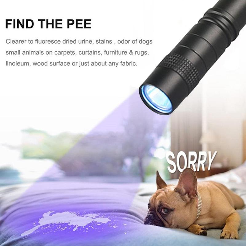 3W Flashlight UV Penlight 365nm Ultraviolet Detector for Dog - TikTok ...