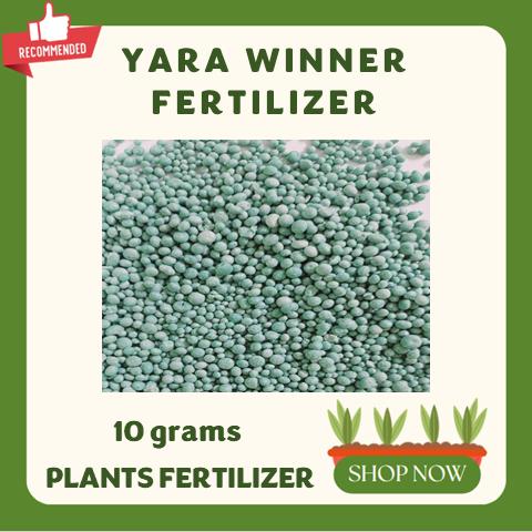 YARA WINNER FERTILIZER - 10grams - TikTok Shop Philippines