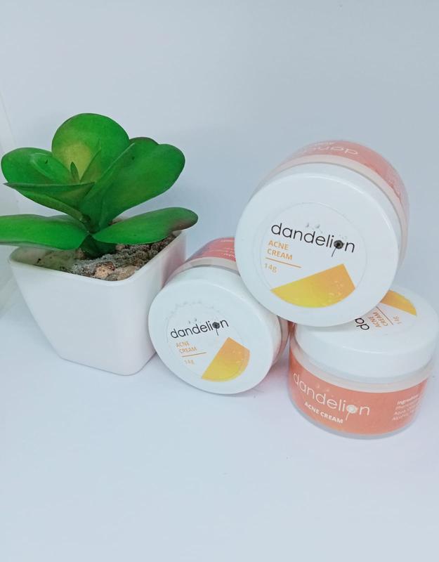 SERIES ACNE CREAM BY DANDELION Berjerawat Wajah Liquid Muka - Shop ...