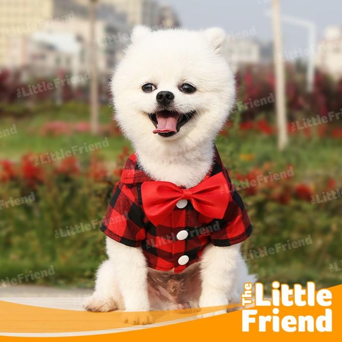 Promo Baju Kucing Anjing Jantan Kemeja Dasi Kotak Suit Wedding Formal ...