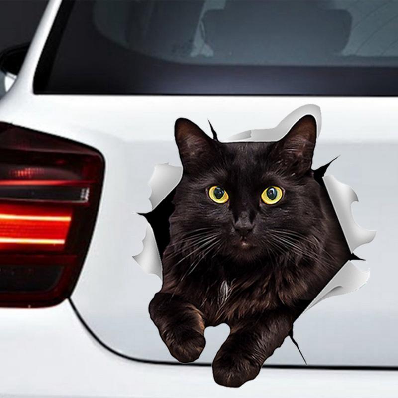 3D Car Stickers Cat Breaking Window Special Effects Creative - TikTok ...