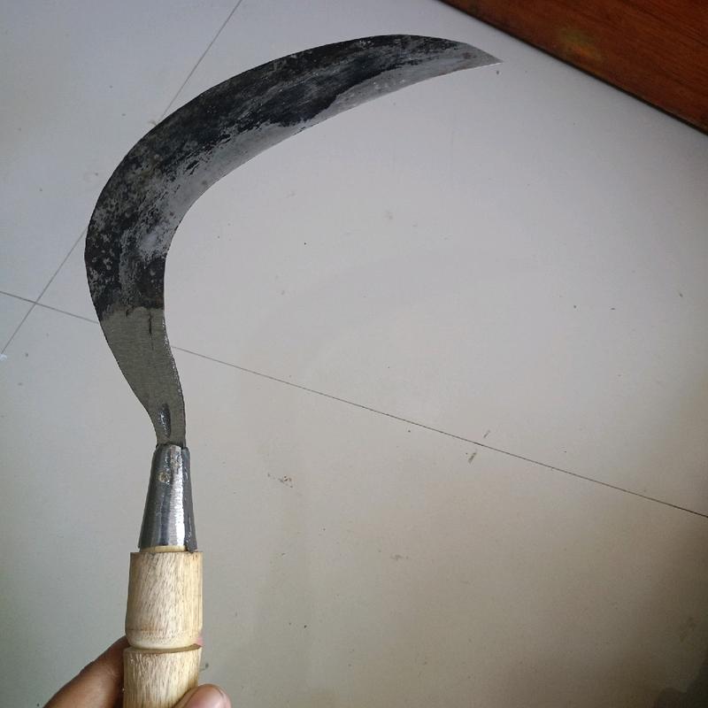 Sabit / Arit Cocok digunakan untuk Membabat - Shop | Tokopedia