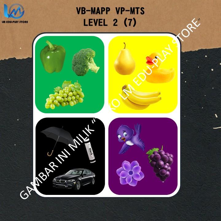 Flashcard ABA VB-MAPP VP-MTS Level 2 (7) IP - Shop | Tokopedia