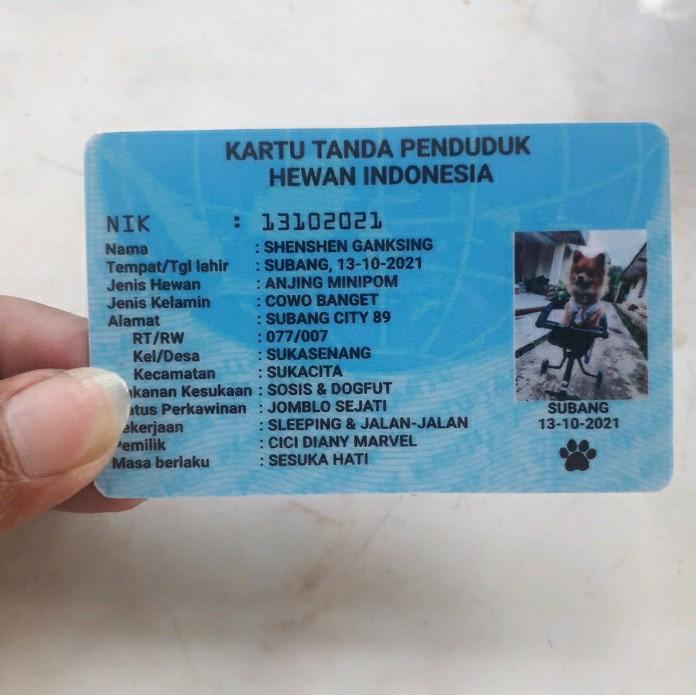 Kartu Identitas Hewan ( Kucing, Anjing, Burung, Ular dll ) - Shop ...