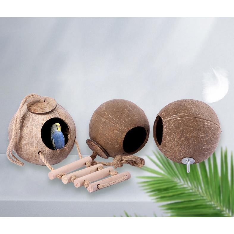 Natural Coconut for Shell Bird Nest House Hut Cage Feeder To - TikTok ...