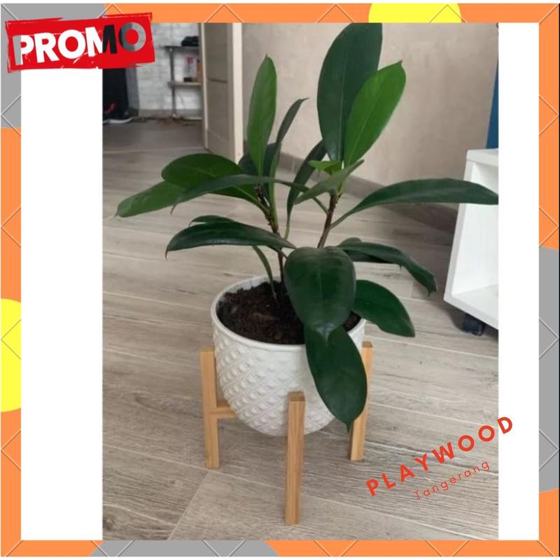 pot holder / rak kayu tempat pot tanaman / standing planter - Shop ...