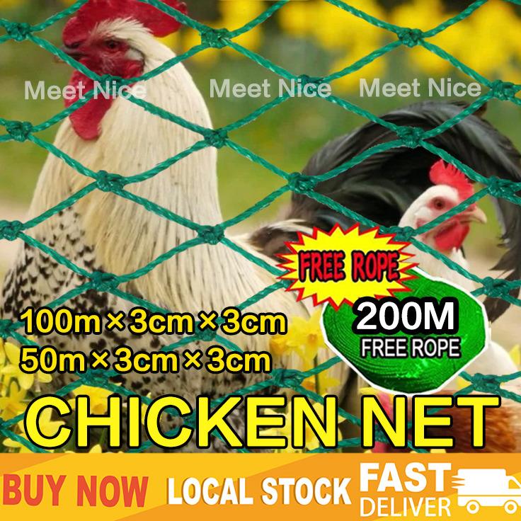 Free Rope 50M/100M Chicken Net Fence Green Net Free Range Chicken ...