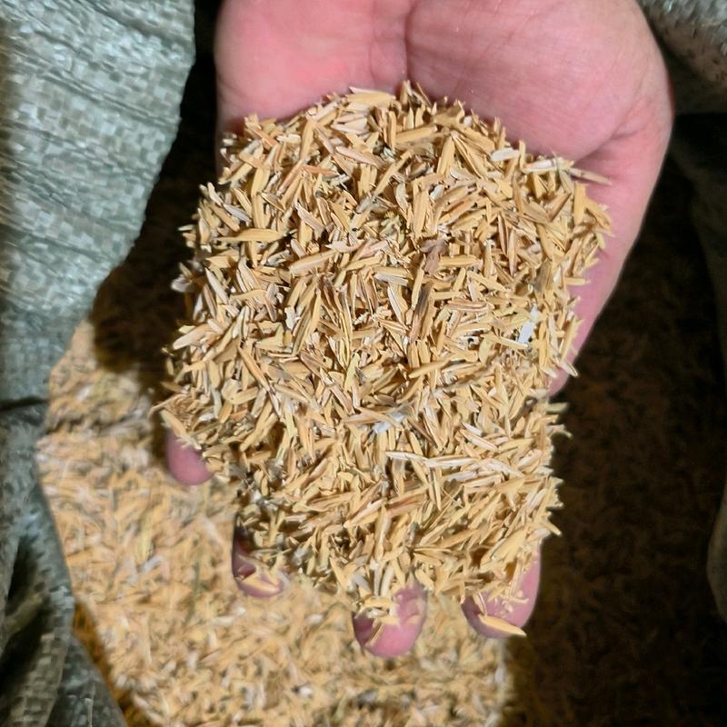 Rice hull fresh natural organic for garden plants potting medium ...