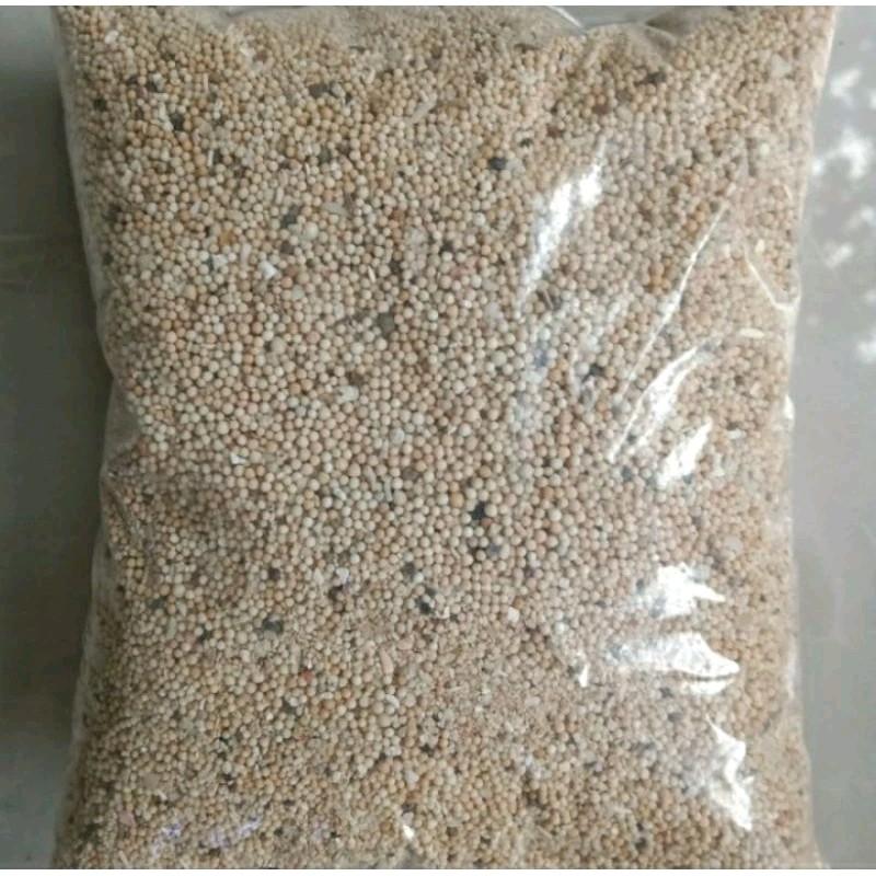 Pasir Bali Mutiara Merica Bulat Dekorasi Akuarium Aquascape - Shop ...