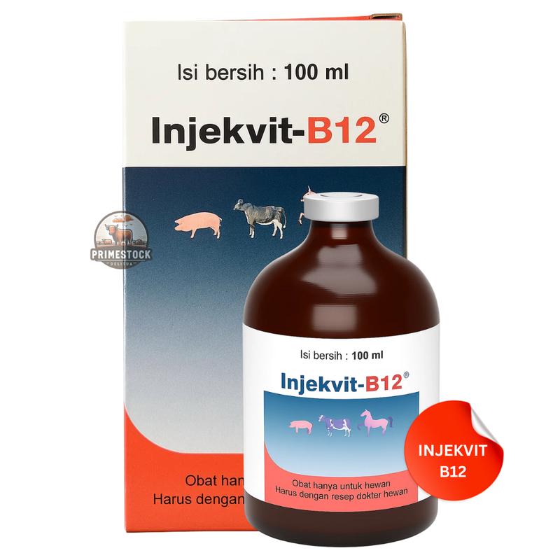 Injekvit-B12 100ml + Spuit – Vitamin B12 Injeksi untuk Anemi - Shop ...