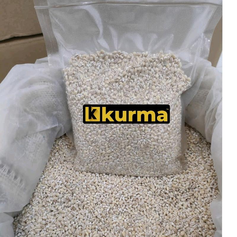 BARLI ORGANIK 1kg PEARL BARLEY Bebas Gula Organik Semula Jadi - TikTok ...