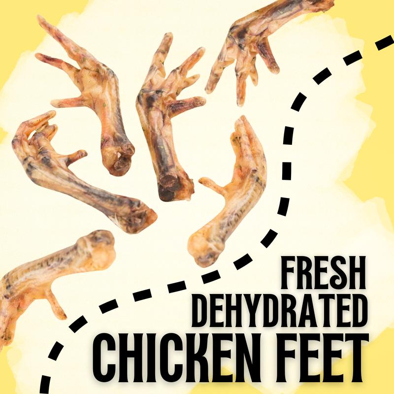 Natural Chicken Feet Treat for Dogs - High in Protein and Collagen ...