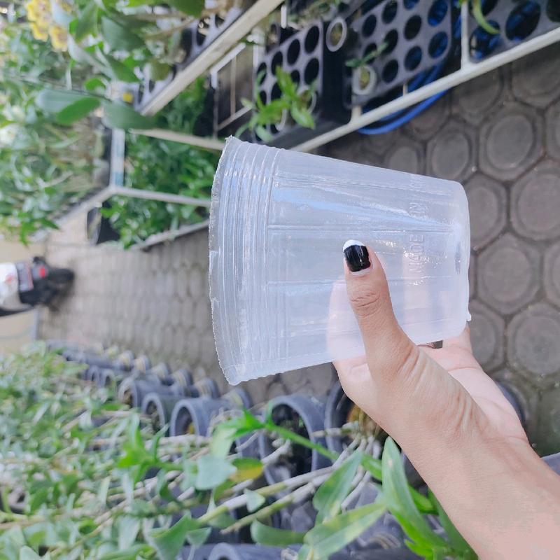 SOFT POT DEN KNOP - Shop | Tokopedia