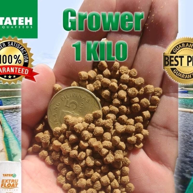 Grower Pellet Fish Food 1kg - TikTok Shop Philippines